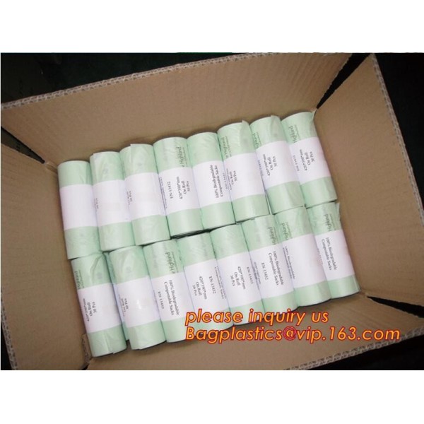 Quality Made From Plants Customized wholesale biodegradable compostable pharmacy bag for sale