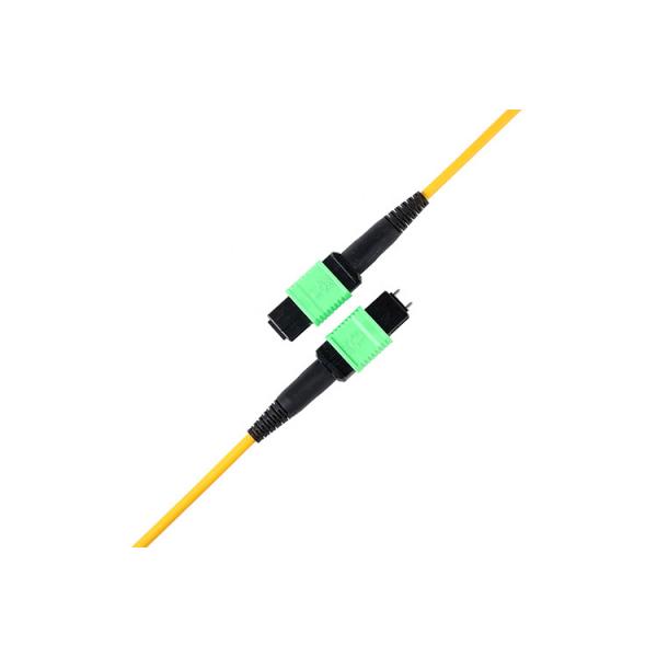 Quality 24 Core Fiber Optic To 24F MPO MTP Patch Cord Fiber Trunk Cable for sale