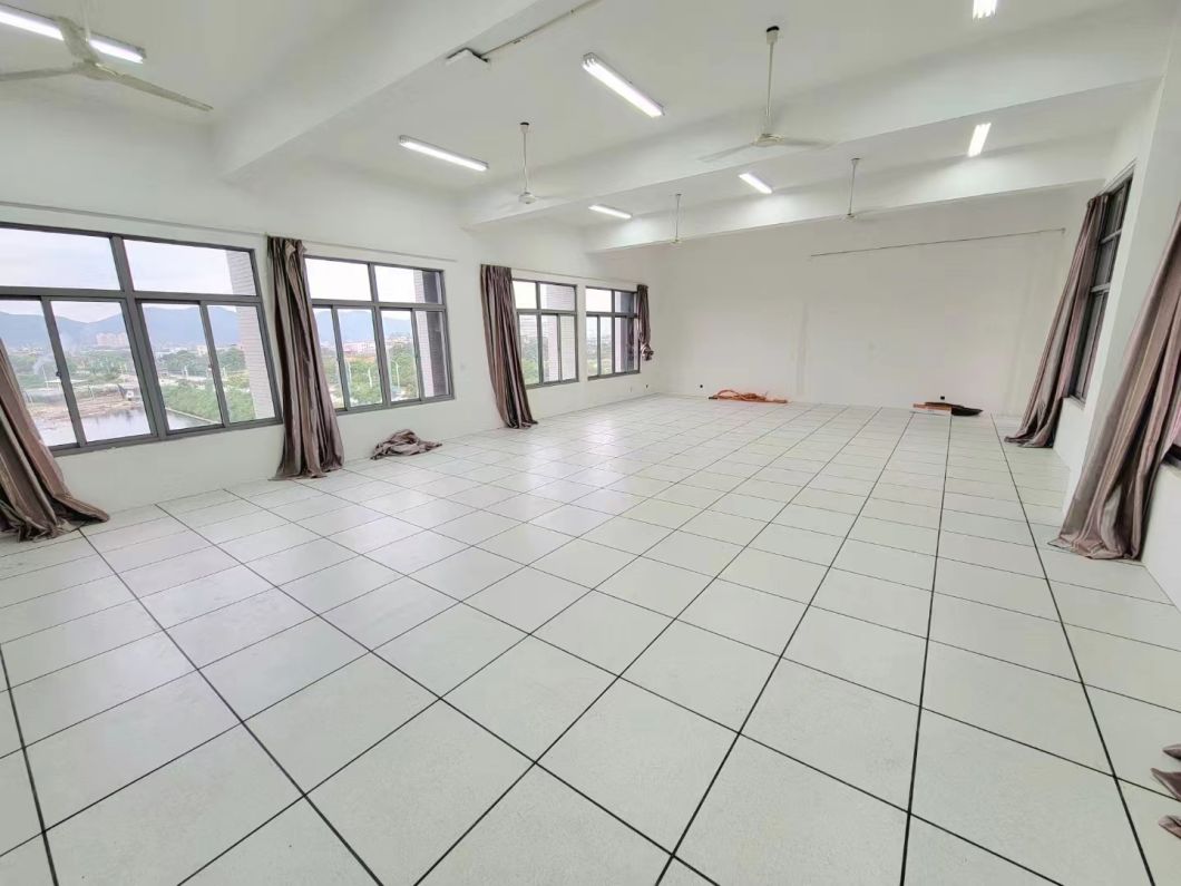 Custom Raised Access Floor