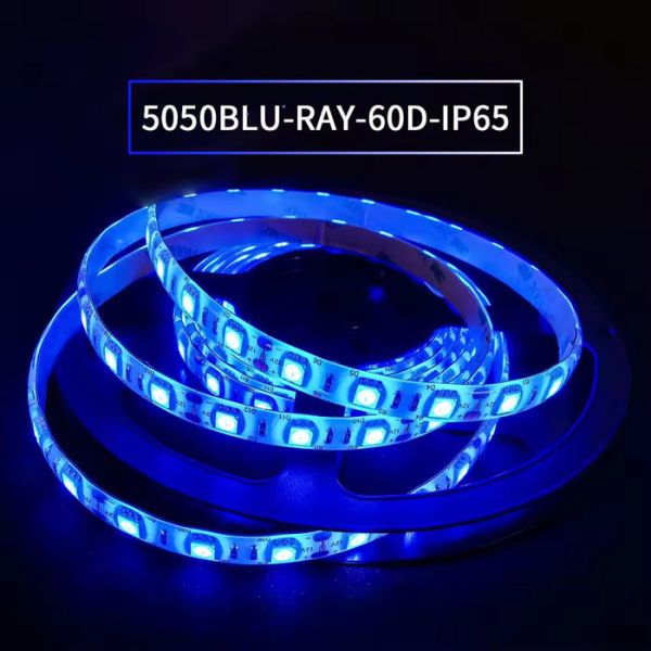 Quality Colorful 5050 Flex LED Strip Light Dimmable LED Ribbon Lights Waterproof IP65 for sale