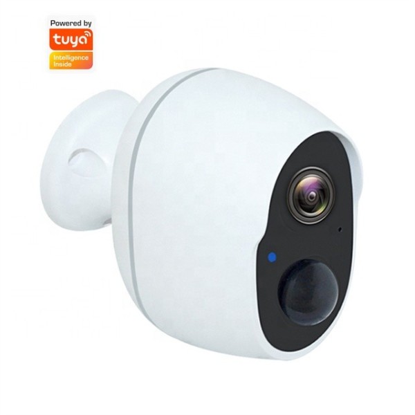 Quality 1920x1080 Tuya Smart Camera 2.0 Mega Pixels Pir Security Camera for sale
