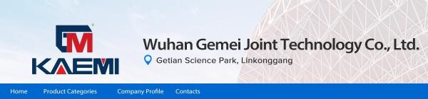 China Wuhan Gemei Joint Technology Co., Ltd. logo