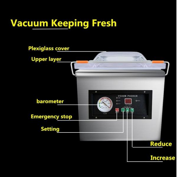 Quality DZ-260/PD Table-Top Vacuum Packing Machine With CE Certification for Commodity for sale