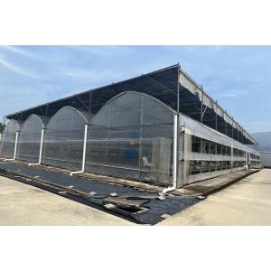 Quality Commercial Agricultural Multi Span Film Vegetables Greenhouse With Irrigation for sale