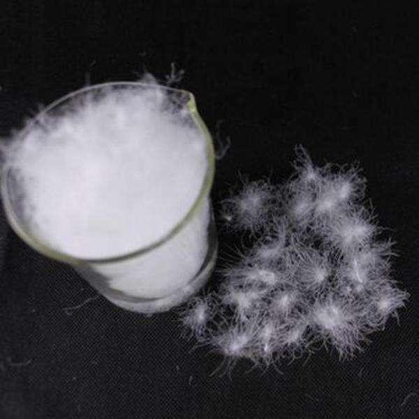 Quality 80% white goose down ,FP 700+ Cleanliness 1000+ for sale