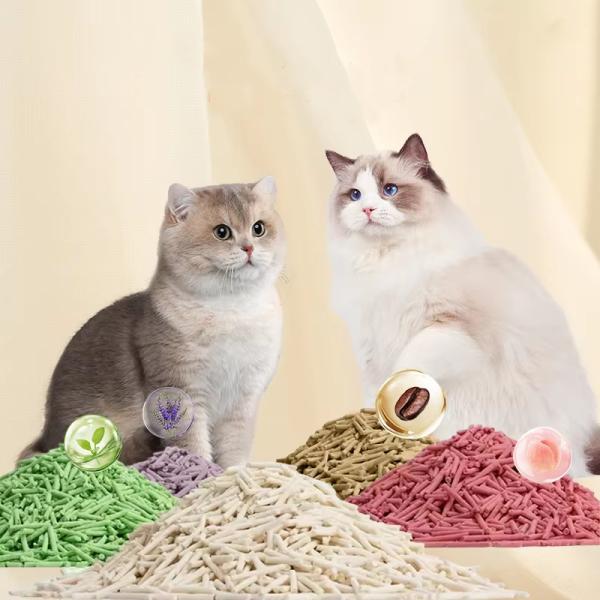 Quality Plant Tofu Litter Sand ODM Clean Deodorization Pretty Litter Flushable for sale