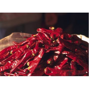 Quality Stemless Dried Guajillo Chile Peppers Heb Block Shape Without Stem for sale
