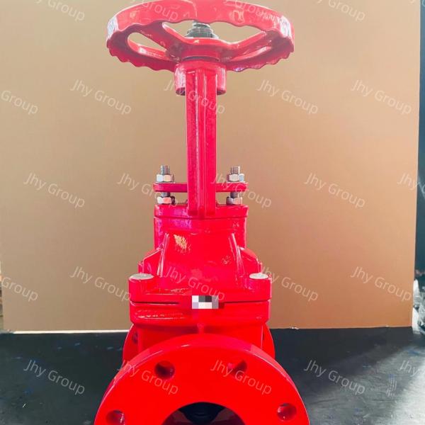 Quality ANSI Rising Stem Gate Valve Ductile Iron Red Resilient Seated Gate Valve for sale