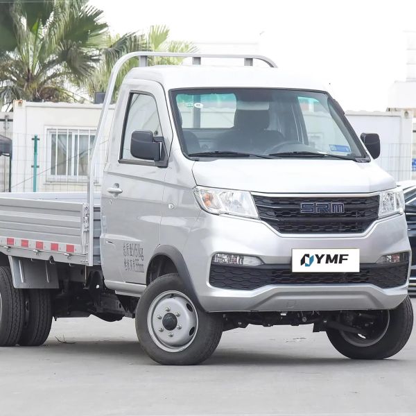 Quality Shineray Cargo Van Mini Cargo Lorry Truck Light Truck Gasoline with Front 4 Rear 2 Radar for sale