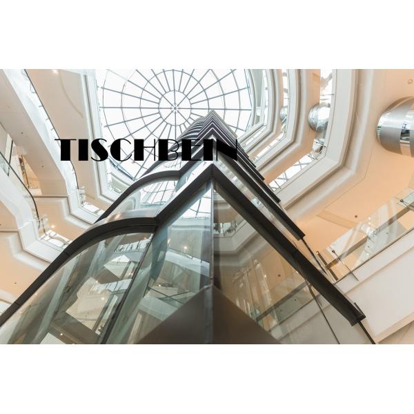 Quality 3 Sides Glass Wall VVVF Drive Panoramic Elevator 2.0m/s Observation Elevator For for sale