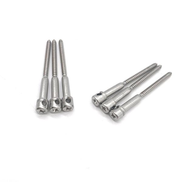 Quality Stainless Steel Lead Seal Screw for sale