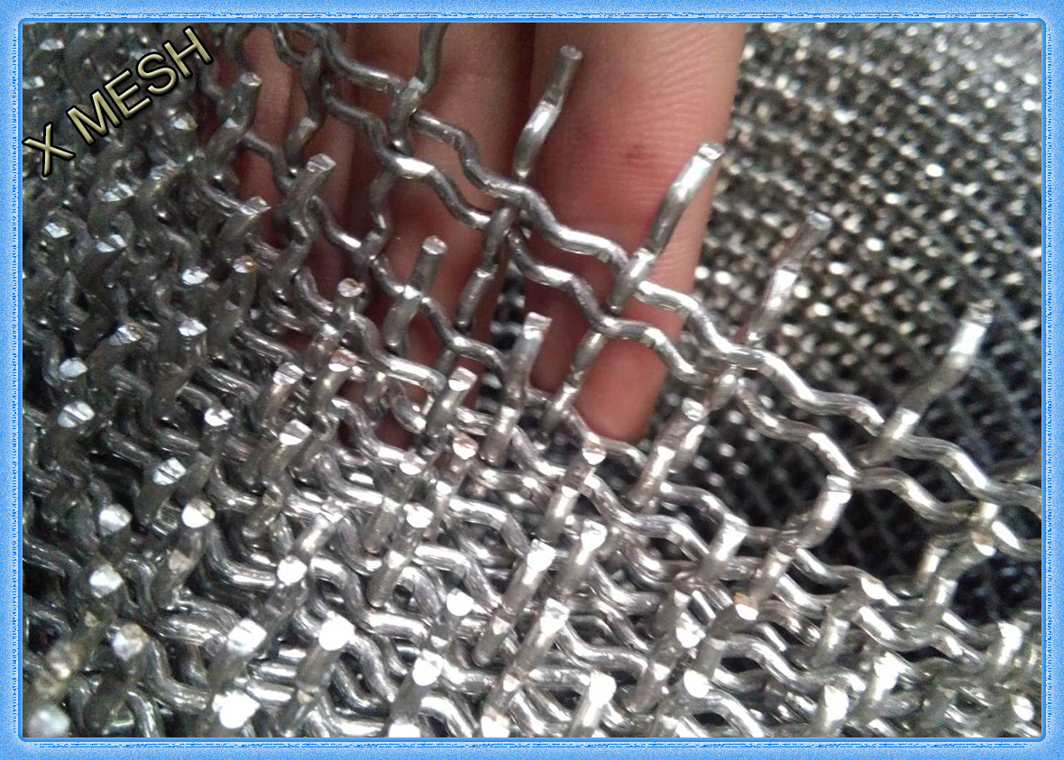   crimped wire mesh
