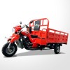 china 151 200cc Displacement Three Wheel Motorcycle Model at Myanmar with Powerful