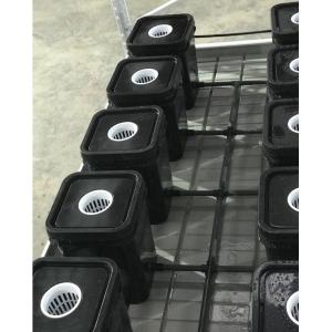 Quality Medical Plants High Yield Aeroponic Grow Boxes Pollution Free for sale