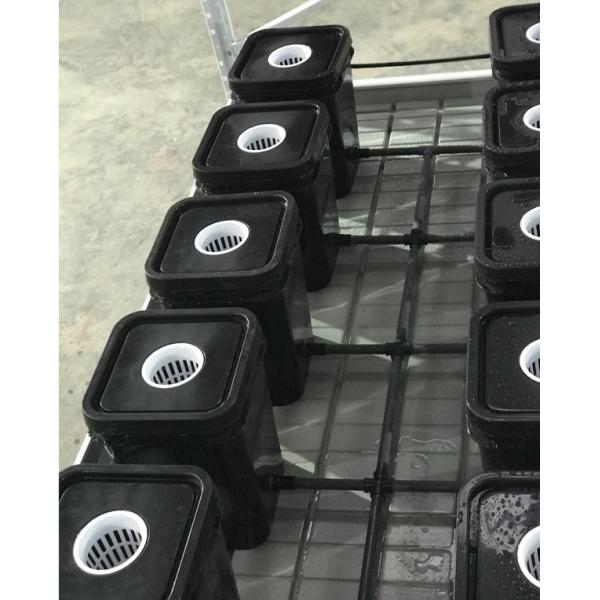 Quality Medical Plants High Yield Aeroponic Grow Boxes Pollution Free for sale