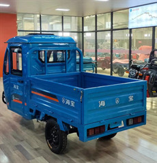 Quality 1500W Open Electric Cargo Trike Electric Cargo Motorcycle for sale