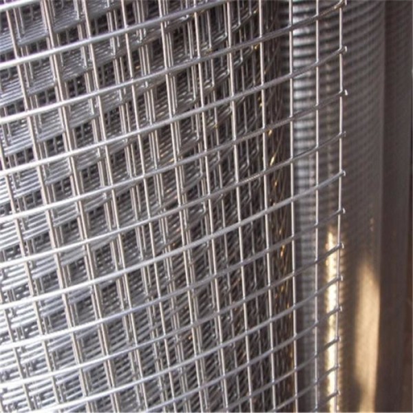 Quality Rust-Proof Galvanized Welded Wire Mesh for Lobby Guardrail and Rodent-Resistant for sale