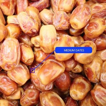 Quality High Accuracy Sorting 98% 6-Lane Palm Dates Sorting Machine With CE MD ISO9001 for sale