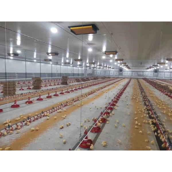 Quality PVC Poultry Farm Equipment for sale