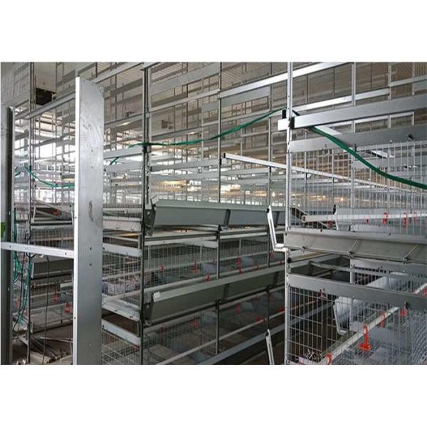 Quality 3/4 Tiers A Type Layer Chicken Cage Q235 Layer Hen Cages With Automatic Drinking for sale