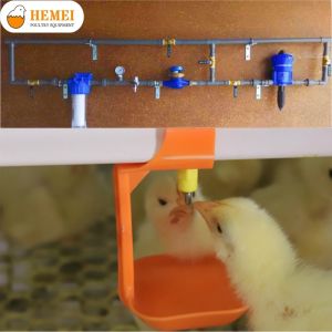 Quality Drinking System for Broiler Cage for sale