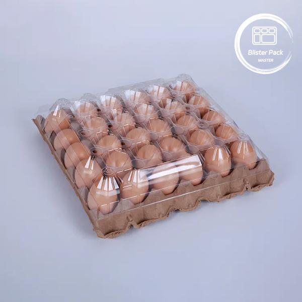 Quality PET Plastic Egg Tray Packaging 30 Hole Cartons In S/M/L Sizes With Paper Bottom for sale