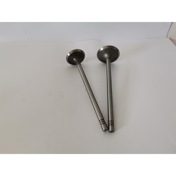 Quality FORD Diesel Engine Valve 3062AC Administration Valves Engine Components for sale
