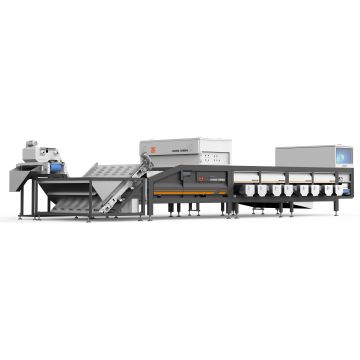 Quality A Machine That Automatically Sorts Jujubes According To Their Size 8 Lanes Dates for sale