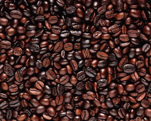 Quality Automatic Horizontal Pouch Packing Machine Bean Oats Stand Up Pouch Packaging for sale