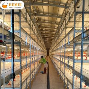 Quality Multi Tier Automatic Harvesting Broiler Cage for sale