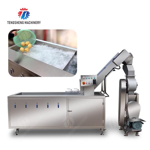 Quality Washing and juicing production line Fruit Orange Leaves Vegetables sward beans for sale