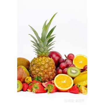 Quality Automatic Complete Small Scale Mini Mango Orange Juicer Fruit Juice factory for sale