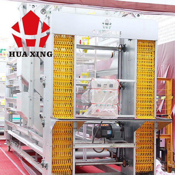 Quality Eggs Collecting Layer Poultry Farming Equipment , Steady Poultry Automation Equipment for sale