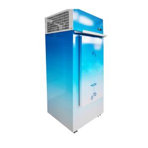 Quality Pre painted Steel Bagged Ice Merchandiser Cold Wall Self Closing Solid Door for sale