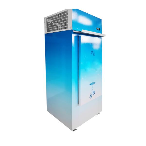 Quality Pre painted Steel Bagged Ice Merchandiser Cold Wall Self Closing Solid Door for sale