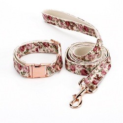 Quality Durable Reflective Harness Leash Set Comfortable Dog Collar Leash for sale