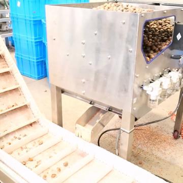 Quality 220V 100000 Pieces CE Approved Pecan Shelling Machine Up To 2T Output Each Hour for sale