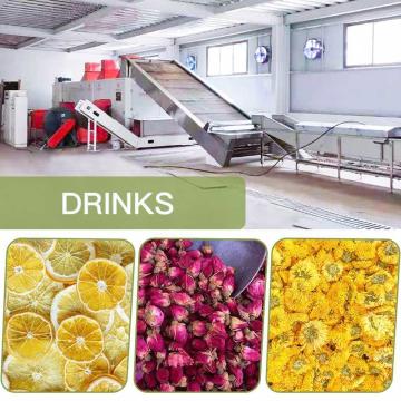 Quality SGS Continuous Belt Dryer Machine Dehumidification for sale