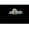 china Customized Dental Resin-bonded Maryland bridge
