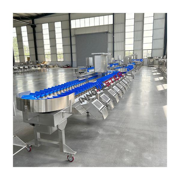 Quality 220V/380V Automatic Sea Cucumber Chicken Feet Weight Sorting Machine for Food Market for sale