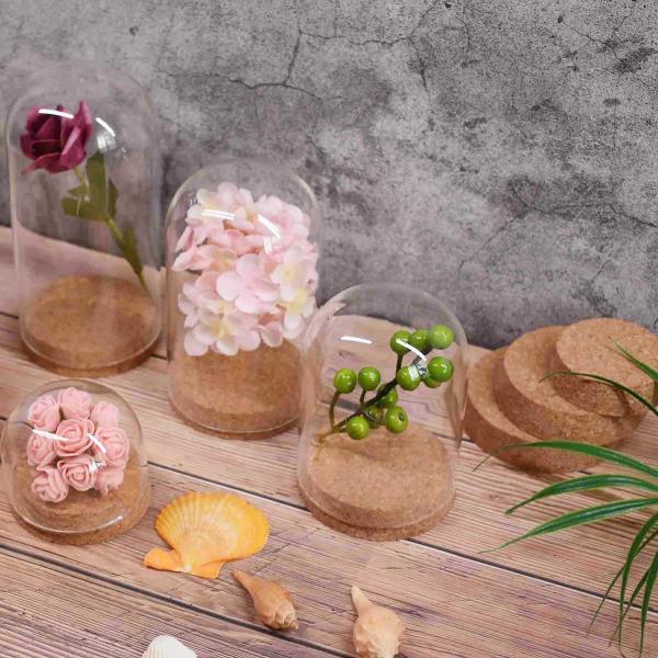 Quality ISO9001 Small Borosilicate Glass Dome Cork Base Eco Friendly for sale