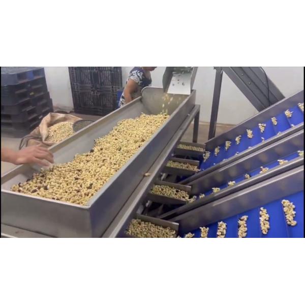 Quality AI Powered Cashew Sorting Machine Deep Learning Technology with 12 Lanes+12 for sale
