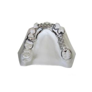 Quality Anti Coloring Vitallium Partial Denture Customizable For Long Lasting for sale