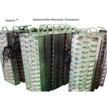 Quality Sweep Function 20kHz Submersible Ultrasonic Transducer Waterproof For Medicine for sale