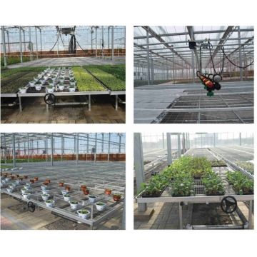 Quality 150 micro PE Film Greenhouse Ebb And Flow Rolling Bench Seedbed Greenhouse With for sale