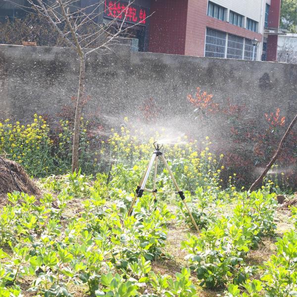Quality Support Holiday Selection Engineering Plastic Garden Irrigation Lawn Sprinkler for sale