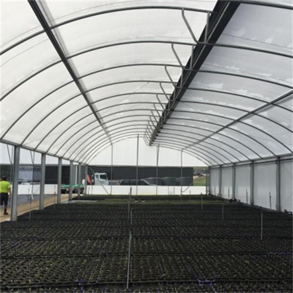 Quality Polyethylene Tunnel 6 Mil Plastic Covering Sawtooth Top Vent Greenhouse for sale