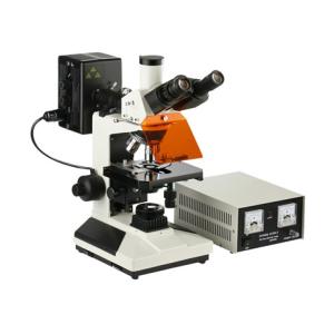 Quality Epi-Fluorescence Science Lab Microscope 4X 100X Light Microscope Biology for sale