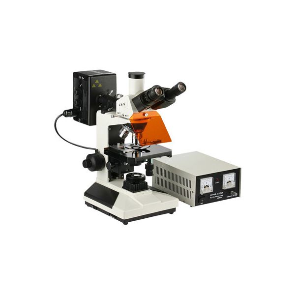 Quality Epi-Fluorescence Science Lab Microscope 4X 100X Light Microscope Biology for sale