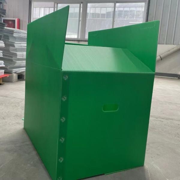 Quality Anti Pressure Anti Corrosion Plastic Corrugated Box Green PP Hollow Sheet for sale